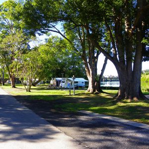POWERED SITE – Accommodation on the banks of the Bellinger River